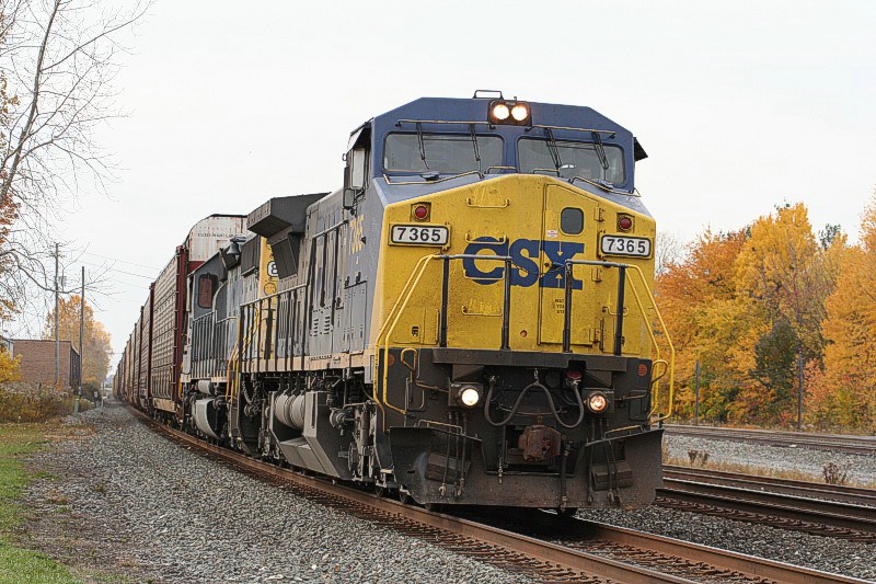 CSX 7365